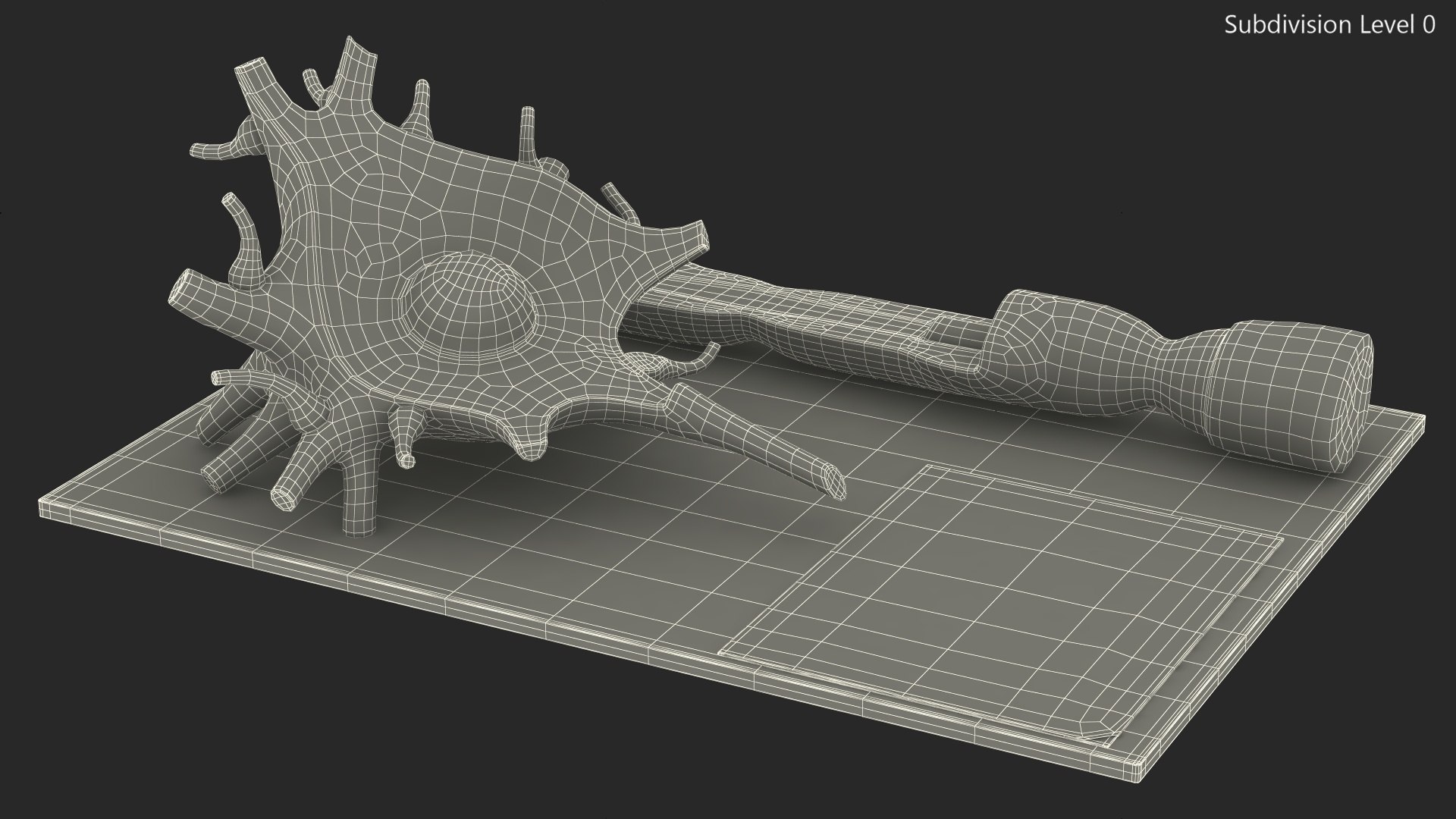 Human Neuron Model Cross-Section On Stand Model - TurboSquid 2059810