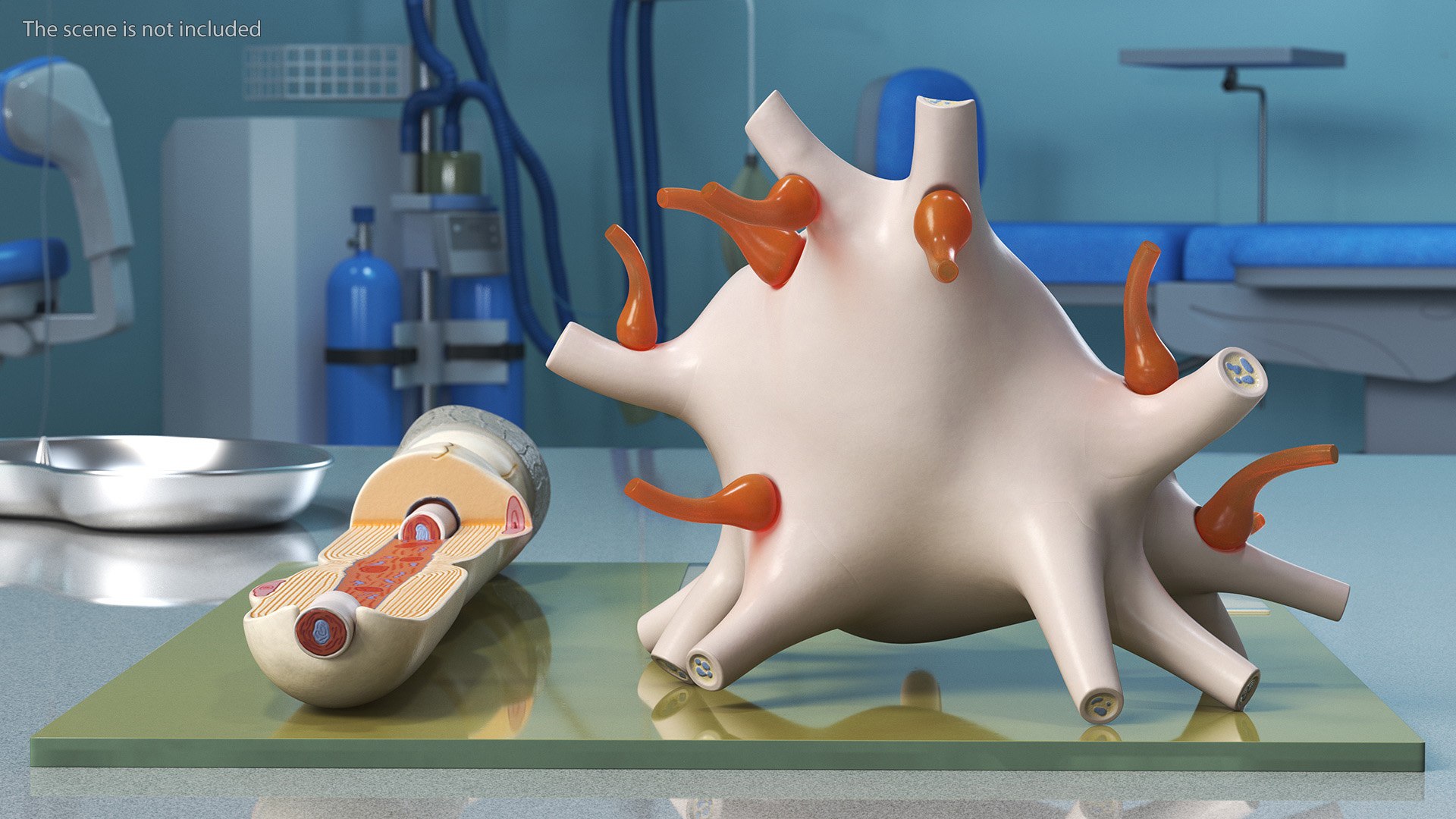 Human Neuron Model Cross-Section On Stand Model - TurboSquid 2059810