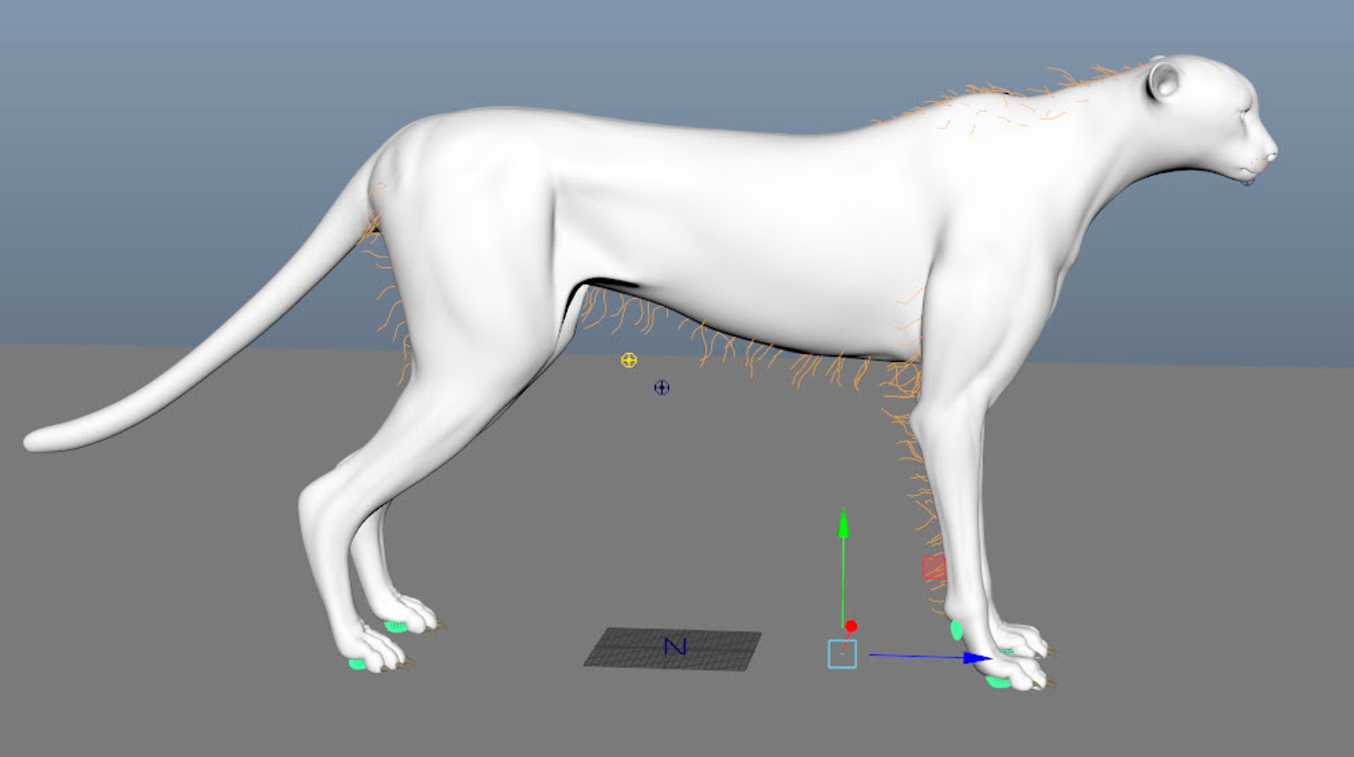 Cheetah Fur Xgen 3D - TurboSquid 1477649