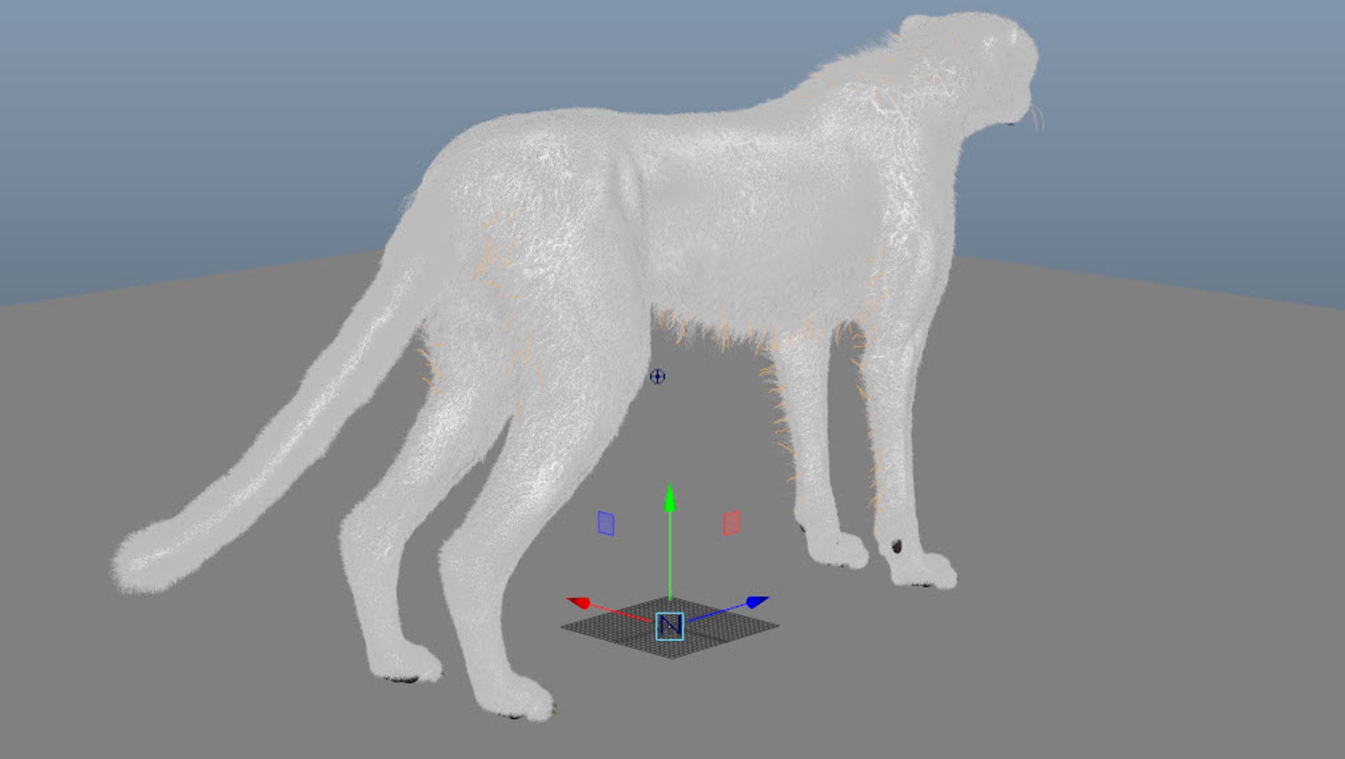 Cheetah Fur Xgen 3D - TurboSquid 1477649