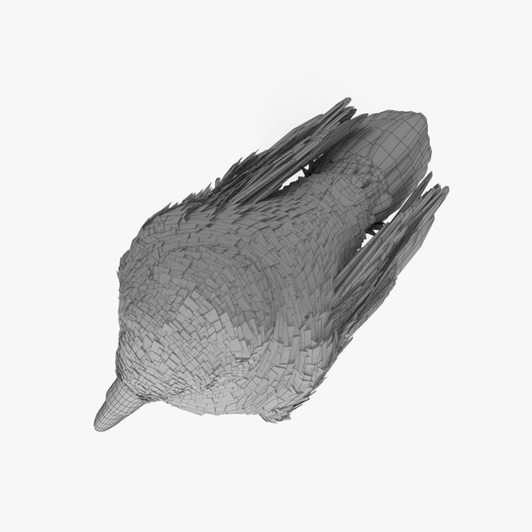 3D Red-tailed Hawk HD - TurboSquid 1950044