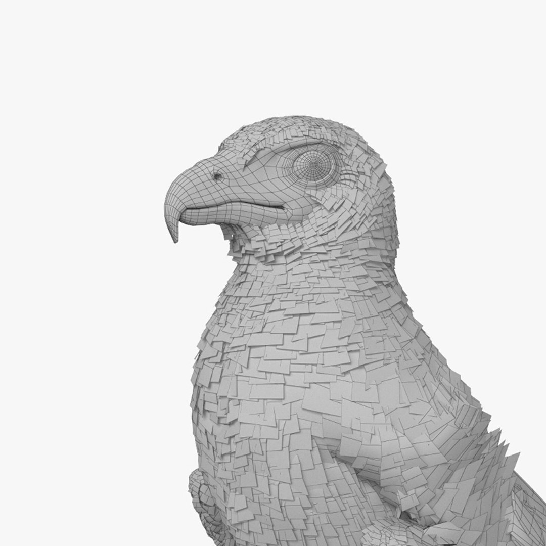 3D Red-tailed Hawk HD - TurboSquid 1950044