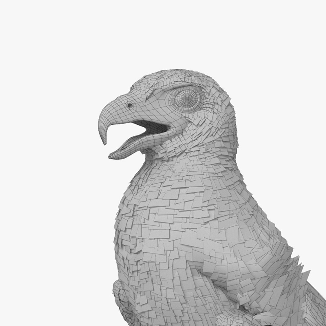 3D Red-tailed Hawk HD - TurboSquid 1950044