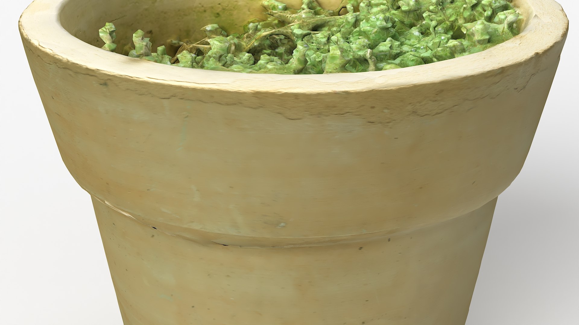 Plant Pot Collection 03 3D Model - TurboSquid 2374393