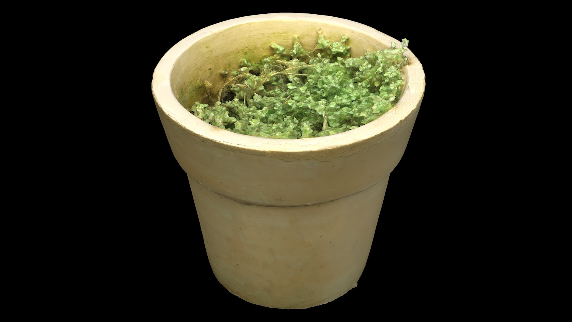 Plant Pot Collection 03 3D Model - TurboSquid 2374393