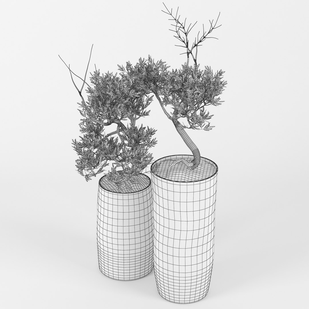 3d Max Olive Tree