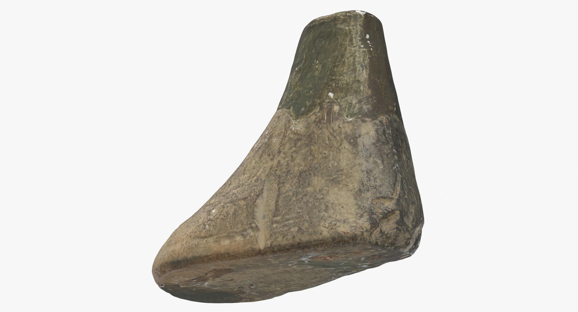 3D Ancient Leg 011 - TurboSquid 1827941