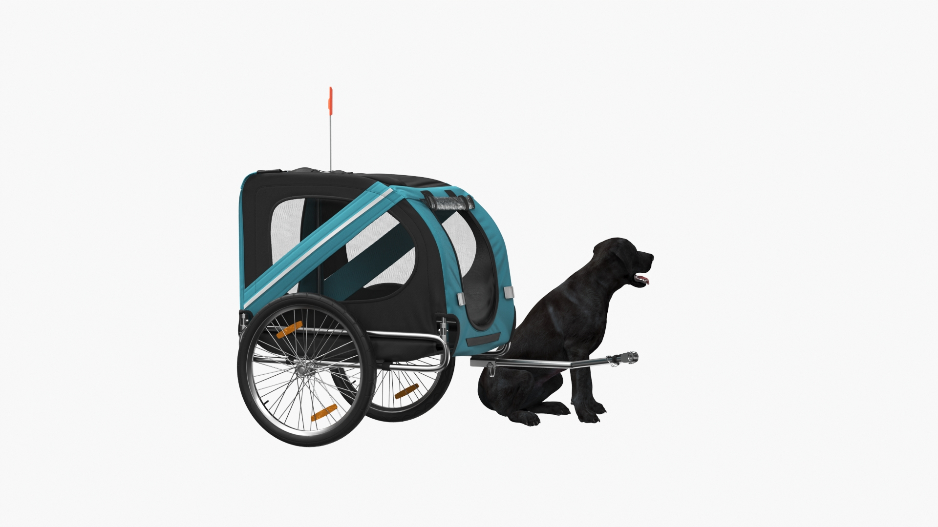 Dog Bicycle Trailer 3D Model - TurboSquid 2354635