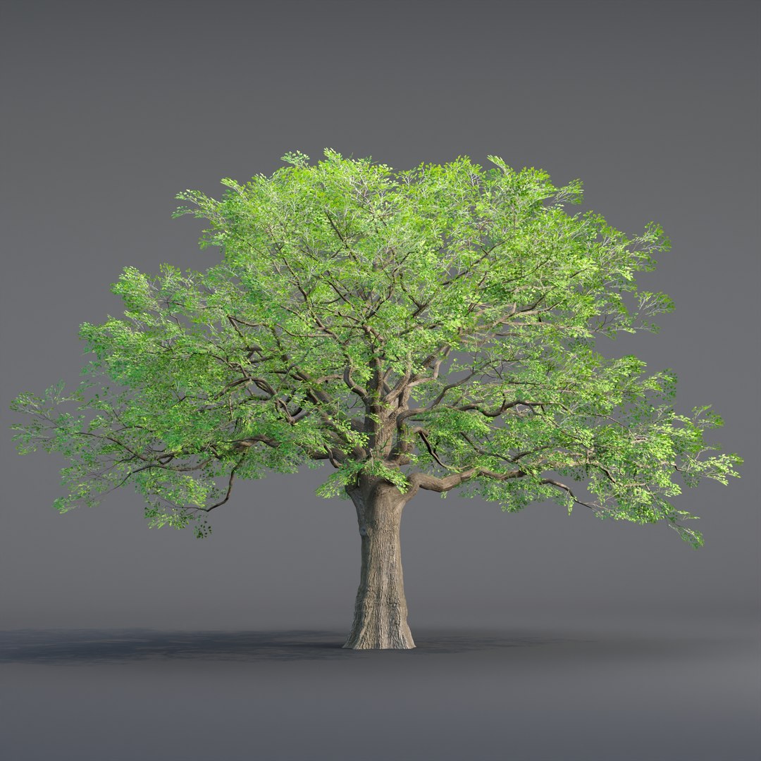 Low Poly Oak Tree Vol 54-Blender-3dmodel 3D - TurboSquid 2246067