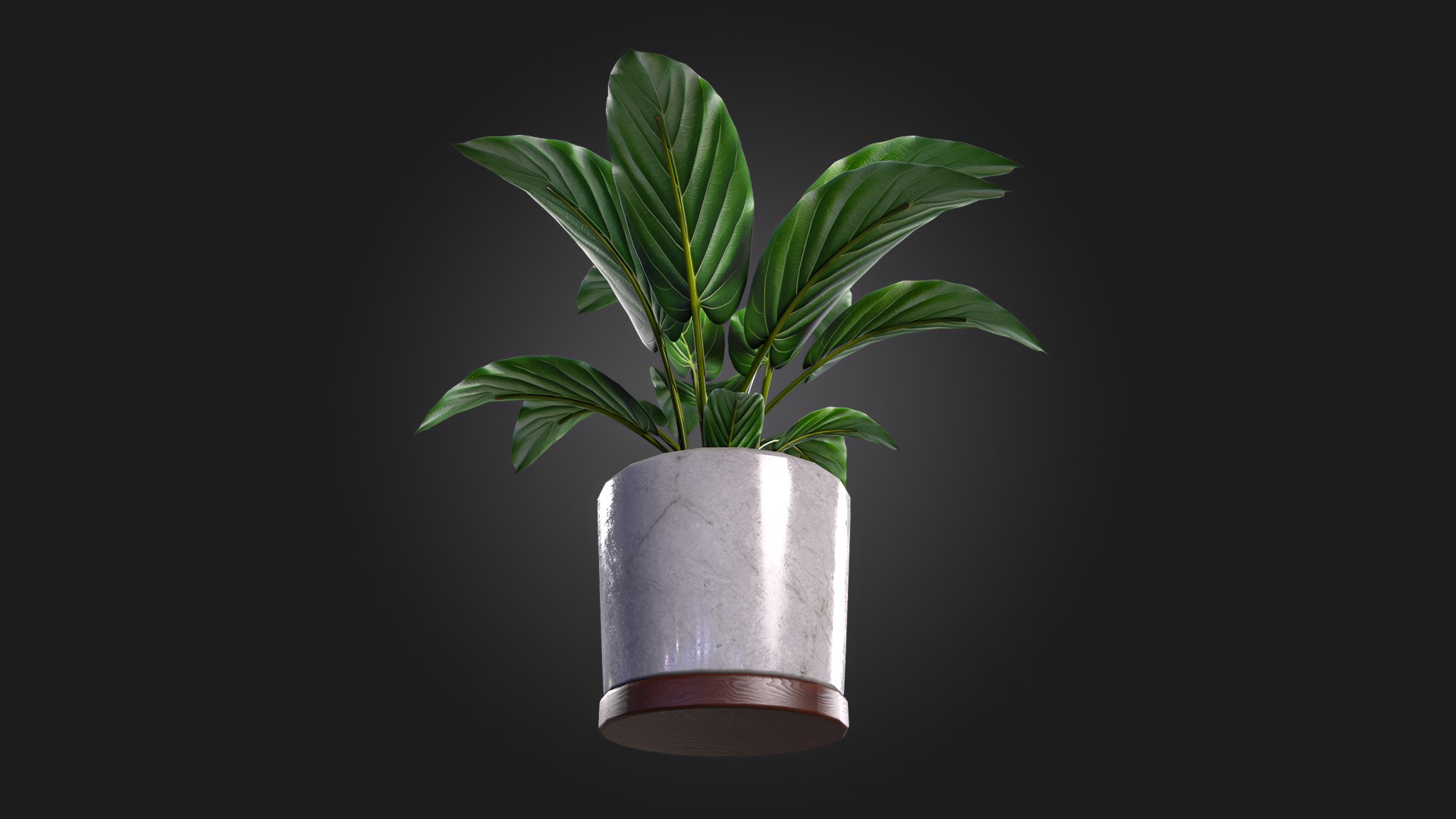 3D Plant Model - TurboSquid 2232584