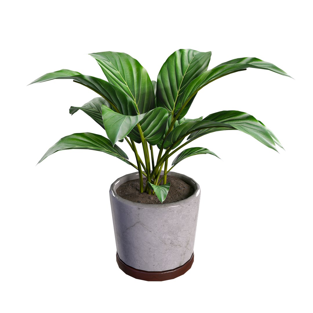 3D Plant Model - TurboSquid 2232584