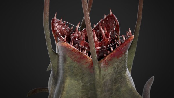 Free 3D Plant Monster - TurboSquid 1873474