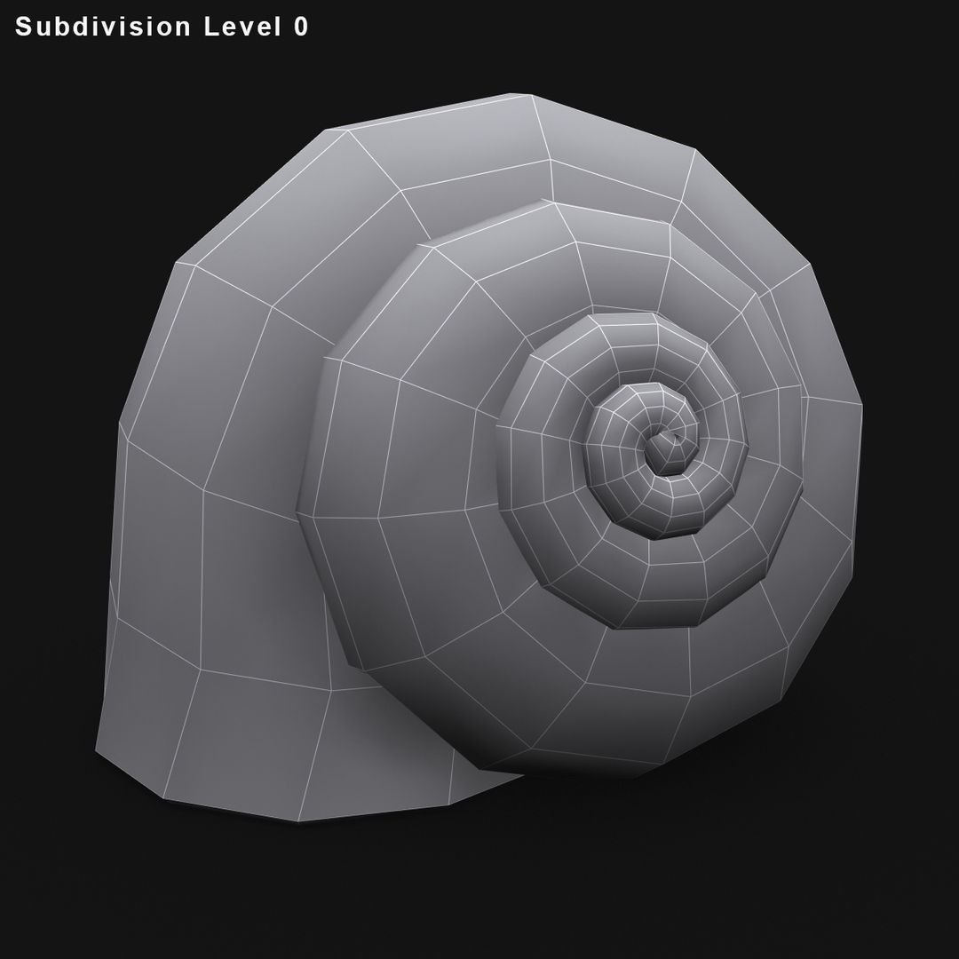 3D shell coral 2 model - TurboSquid 1399141
