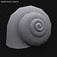 3D Shell Coral 2 Model - TurboSquid 1399141