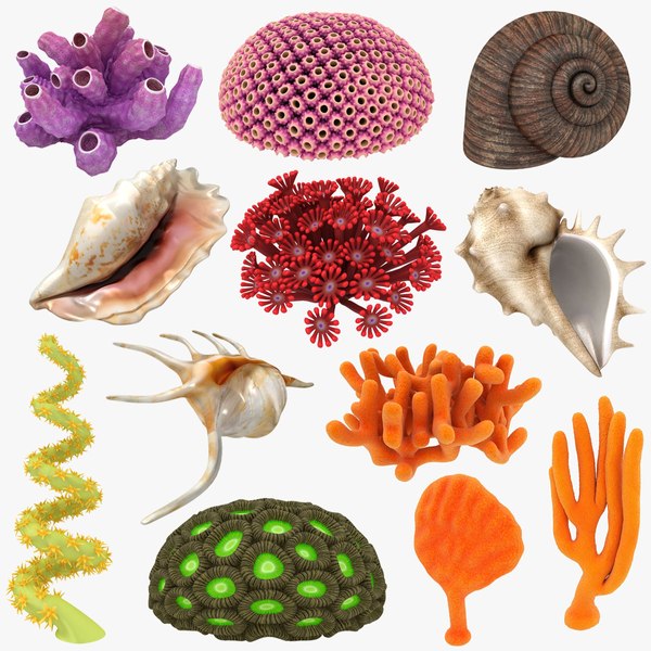 3D Coral Models | TurboSquid
