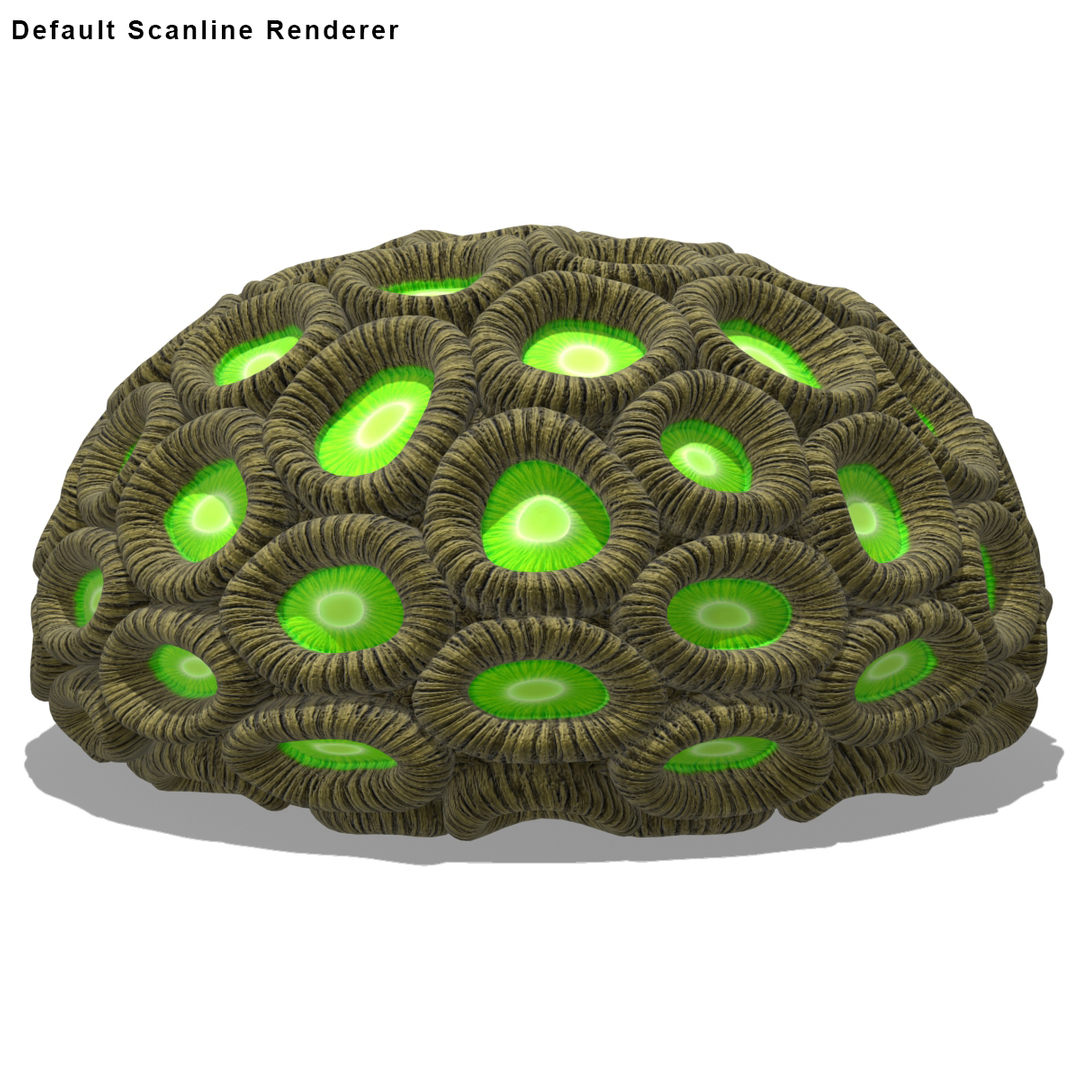 3D shell coral 2 model - TurboSquid 1399141