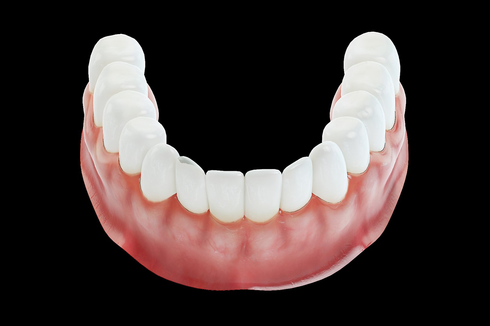 3D human dentures - TurboSquid 1307959