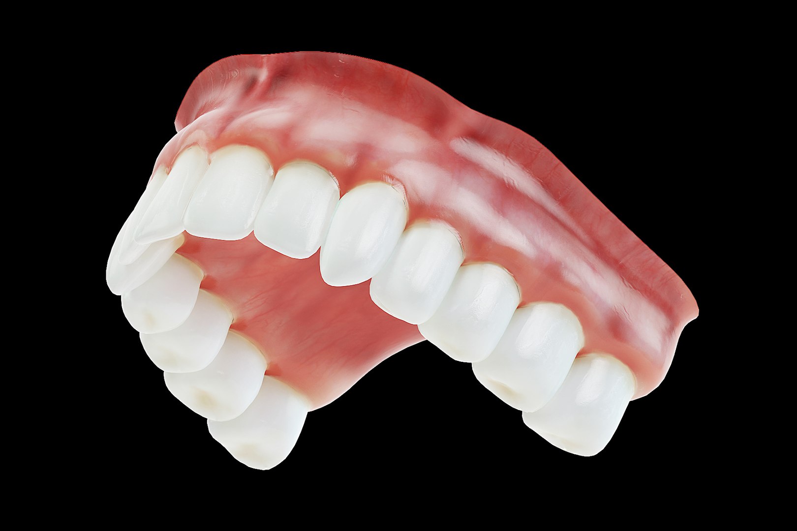3D human dentures - TurboSquid 1307959