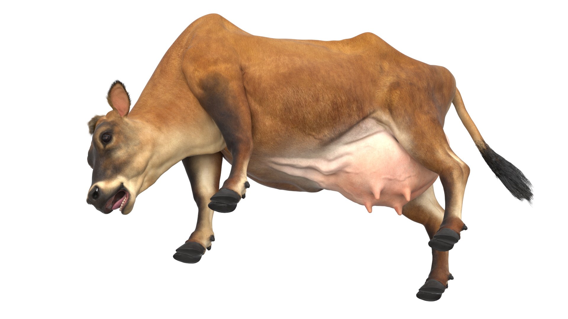 Mini Cow Eating Fur 3D Model - TurboSquid 2310740
