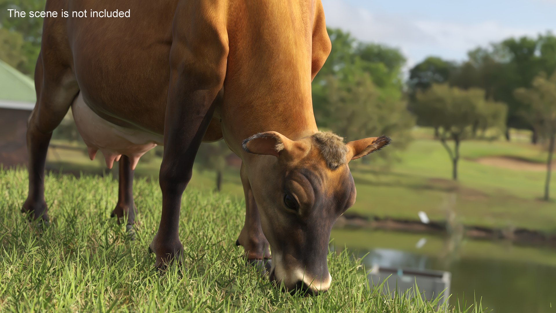 Mini Cow Eating Fur 3D Model - TurboSquid 2310740