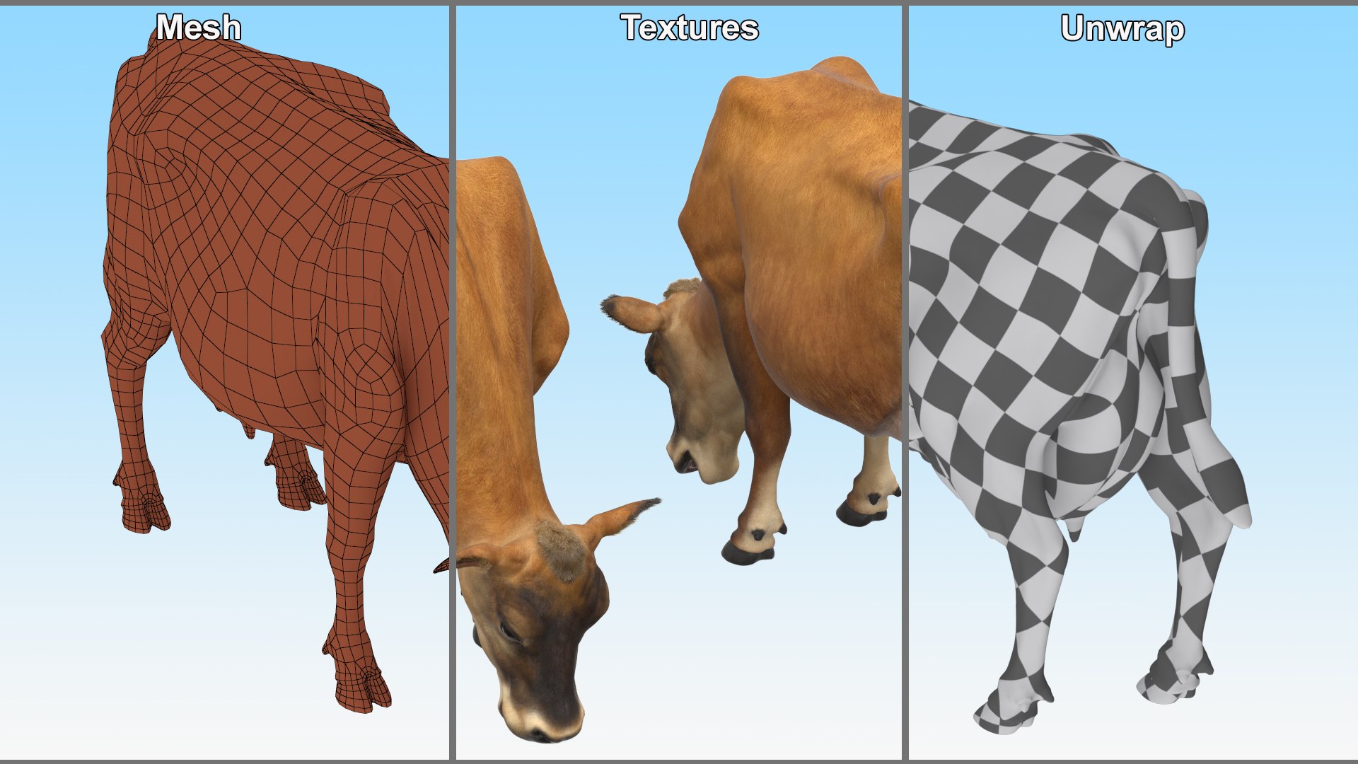 Mini Cow Eating Fur 3D Model - TurboSquid 2310740