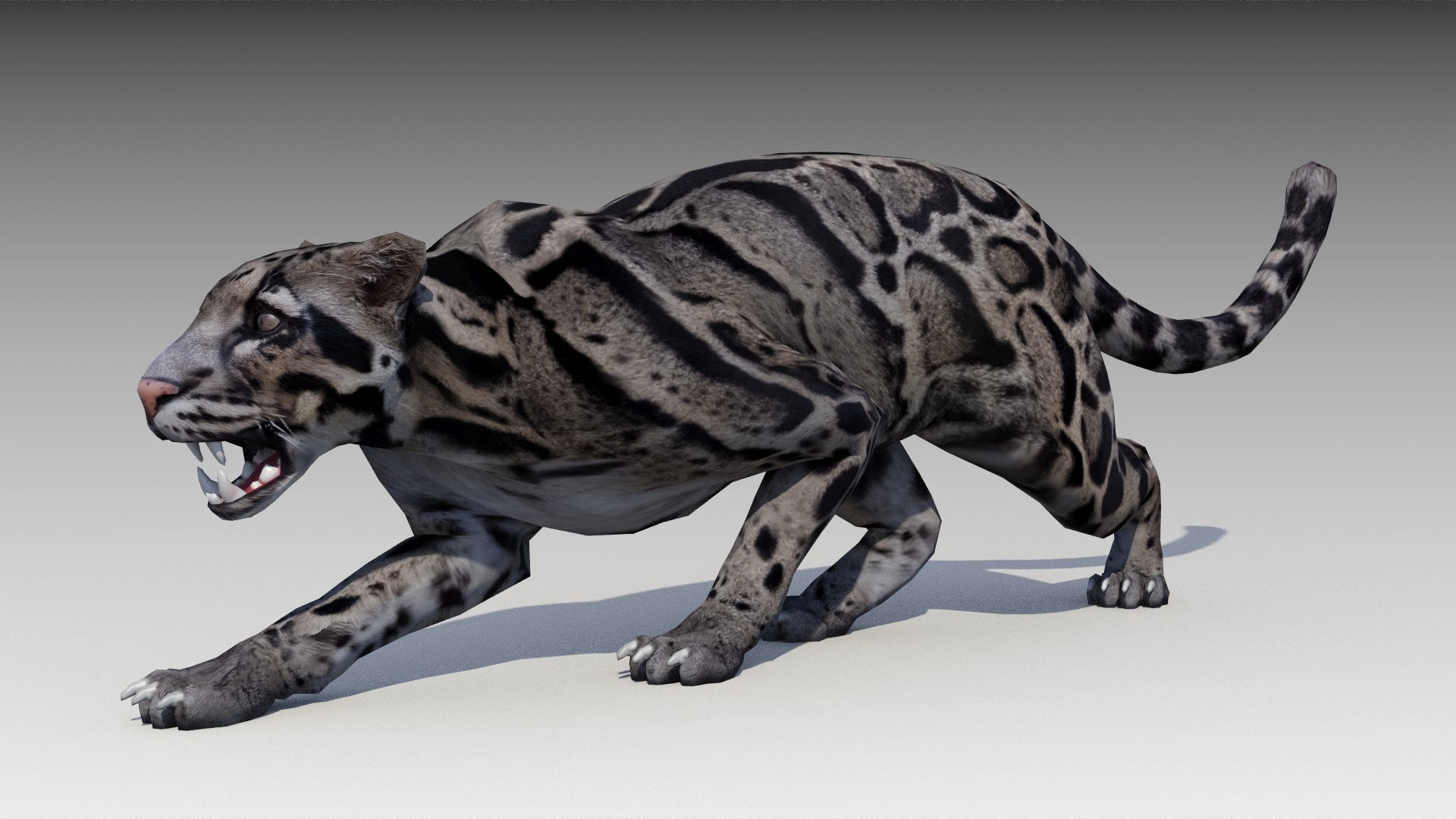 Clouded Leopard 3D - TurboSquid 1621908