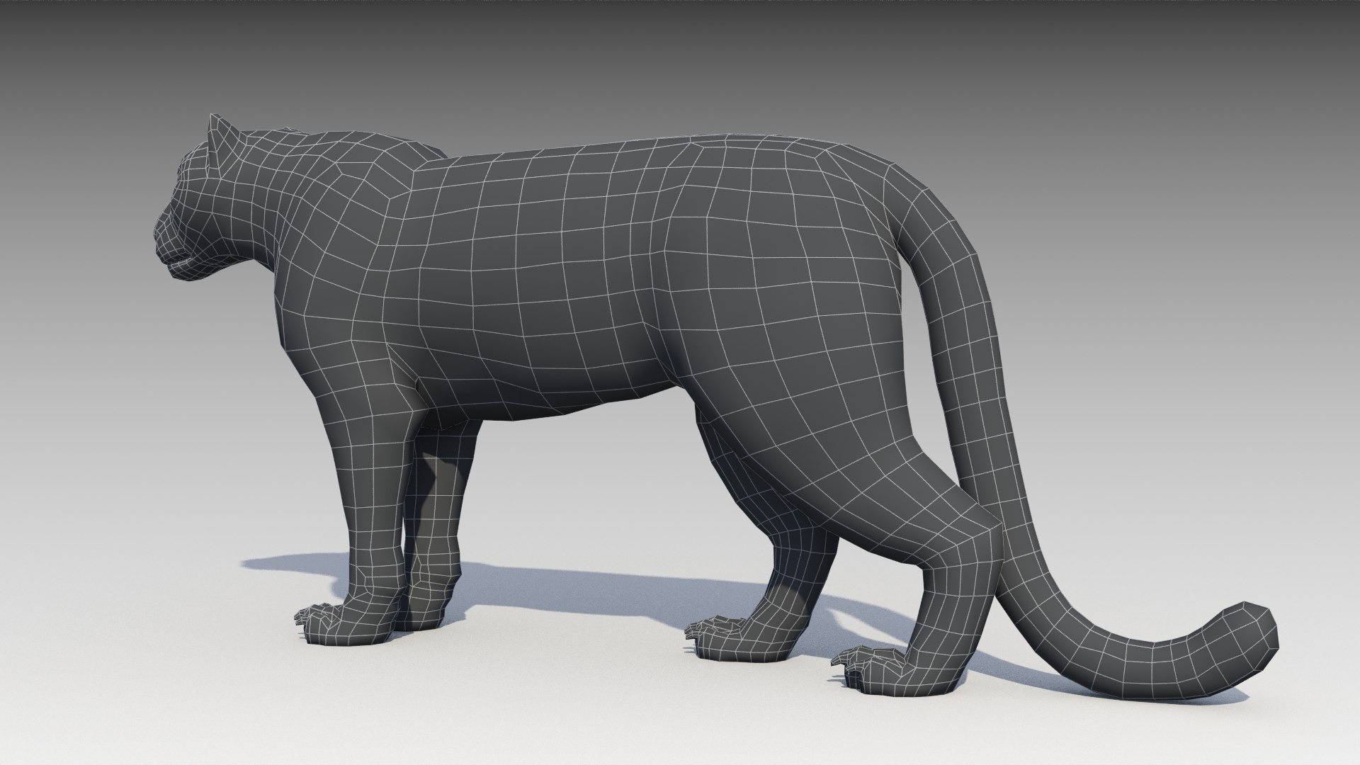 Clouded Leopard 3D - TurboSquid 1621908