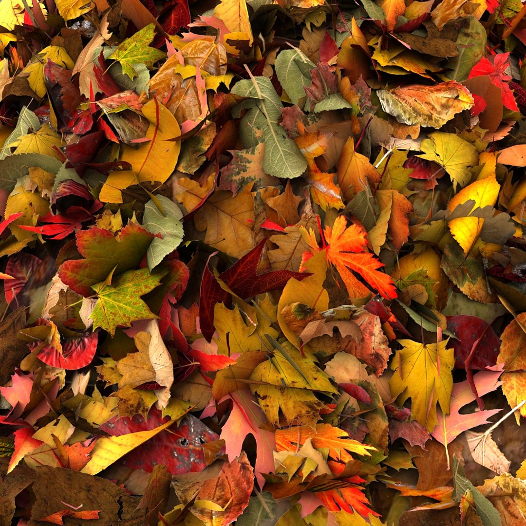 Leaves Pile 3d 3ds
