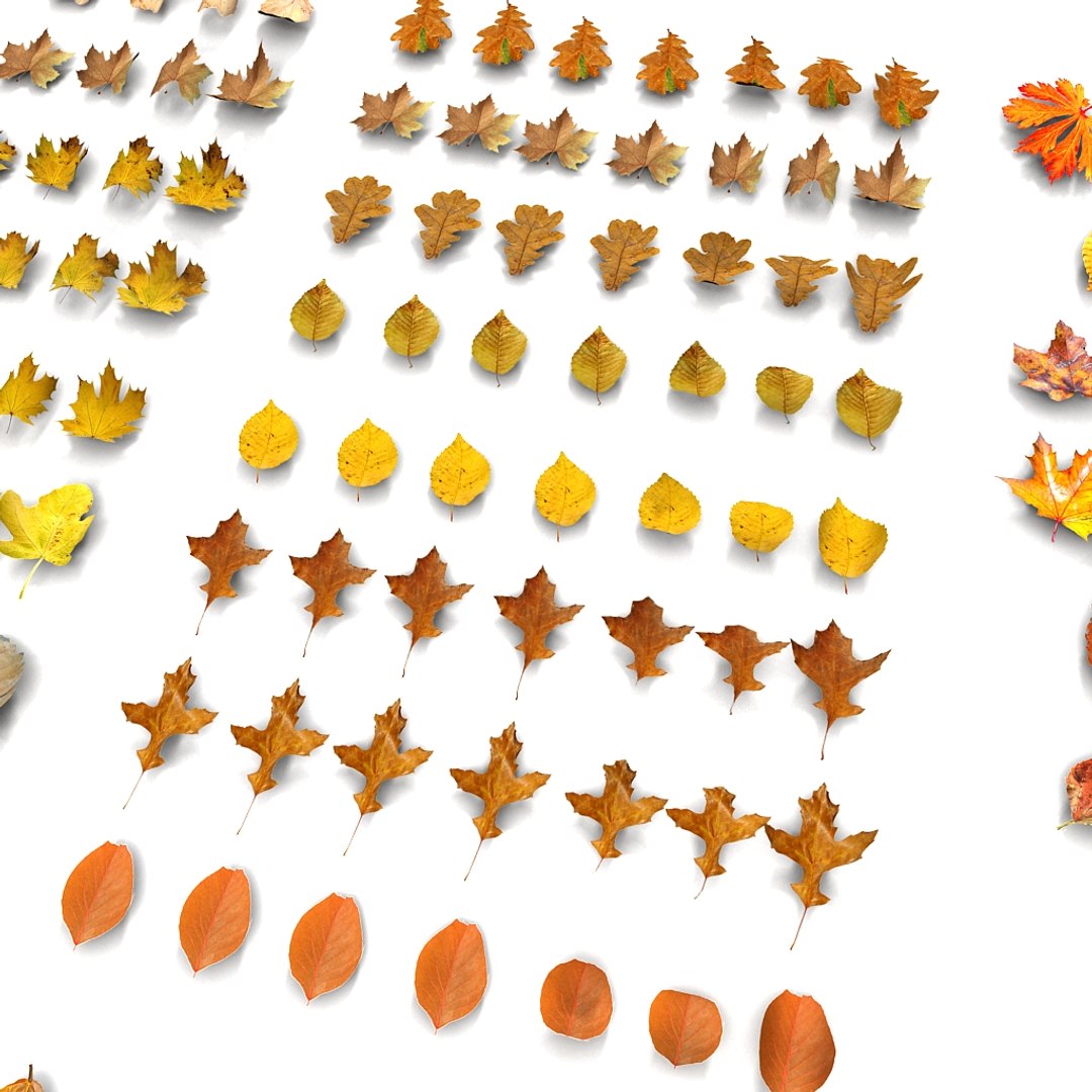 Leaves Pile 3d 3ds