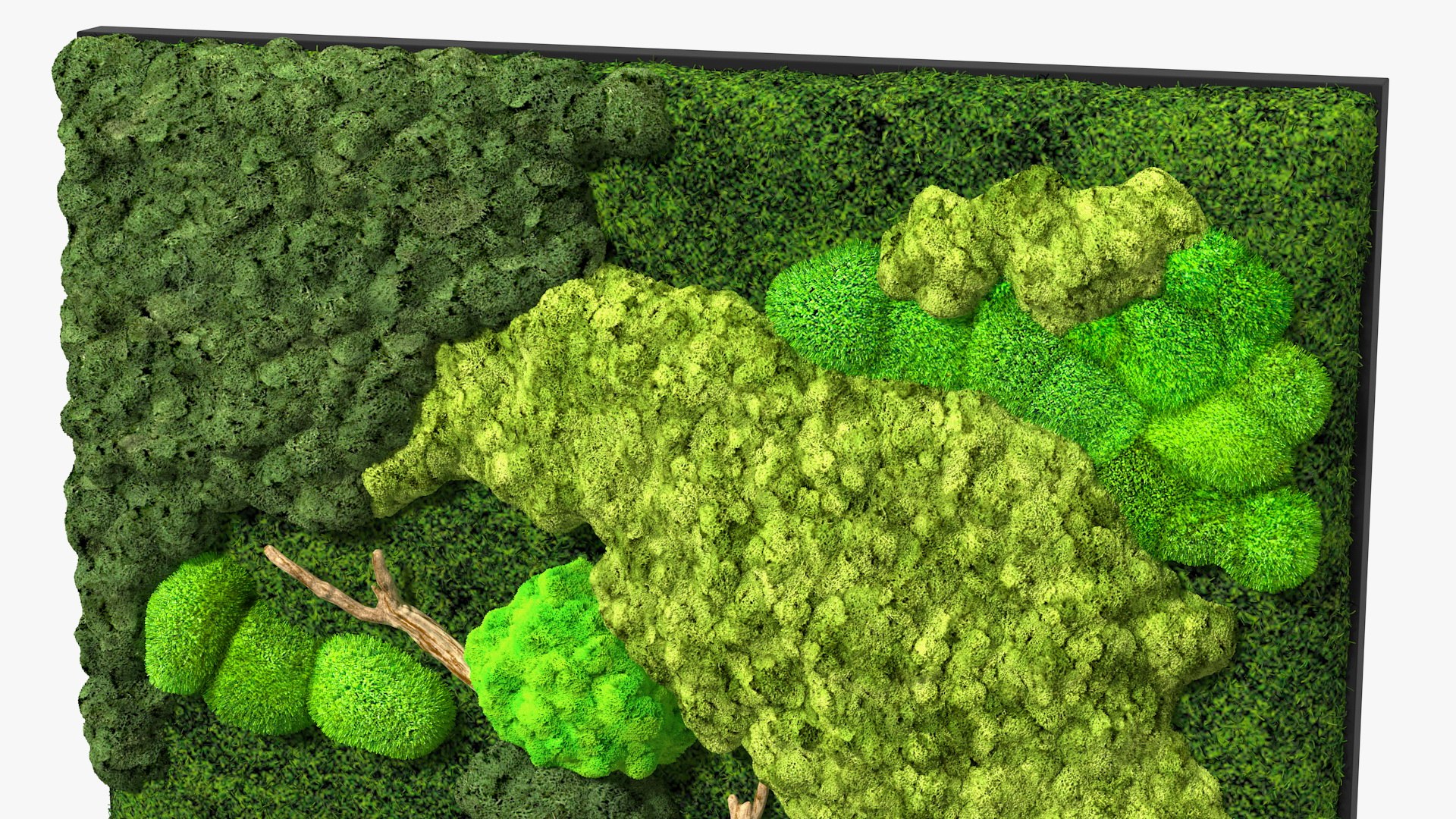 Indoor Plantscape Moss Wall 3D Model - TurboSquid 1647932