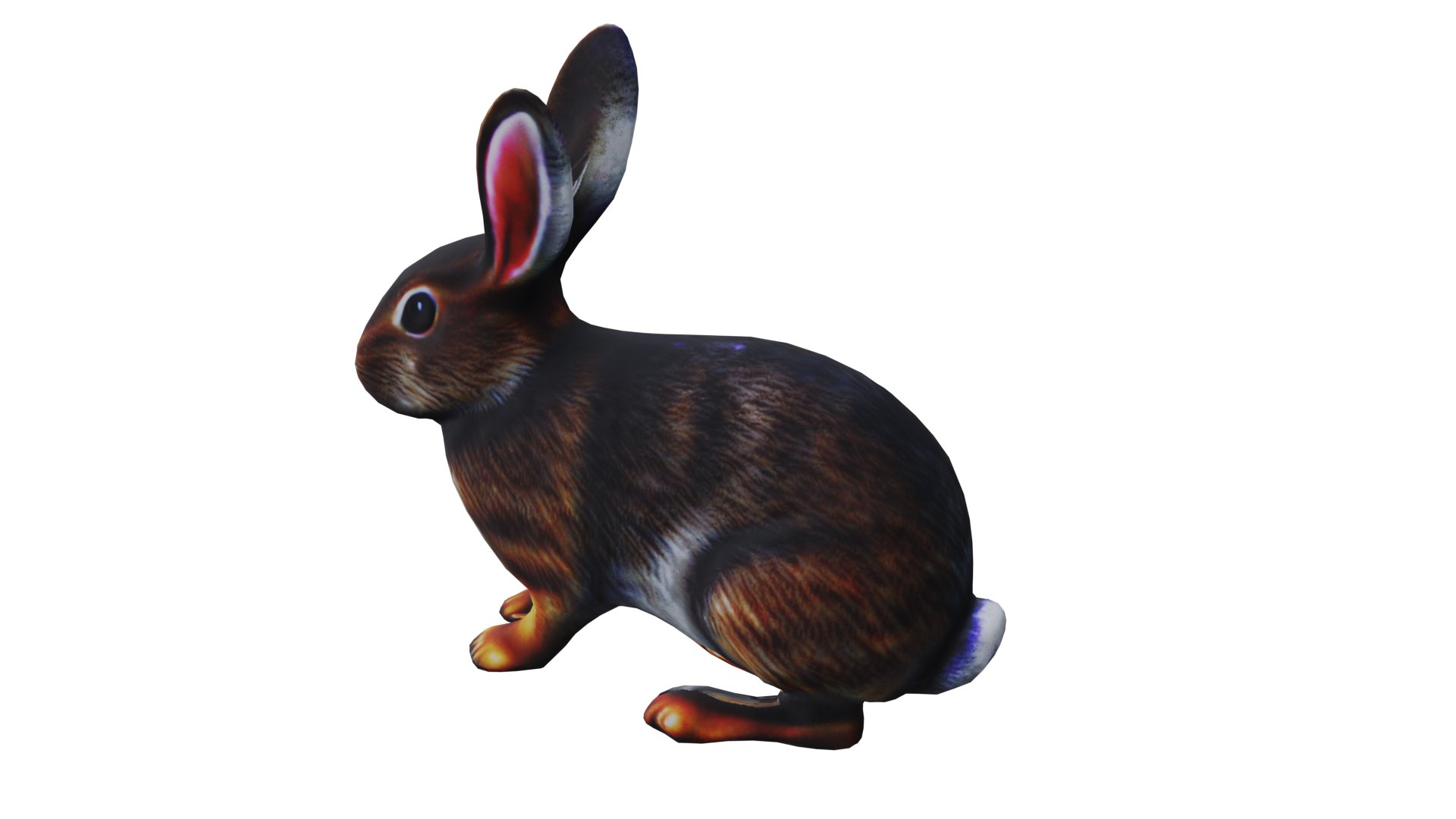 3D Model Rabbit Low-poly PBR - TurboSquid 2206912
