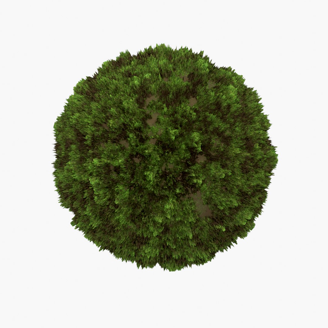 Moss material 3D model - TurboSquid 2100124