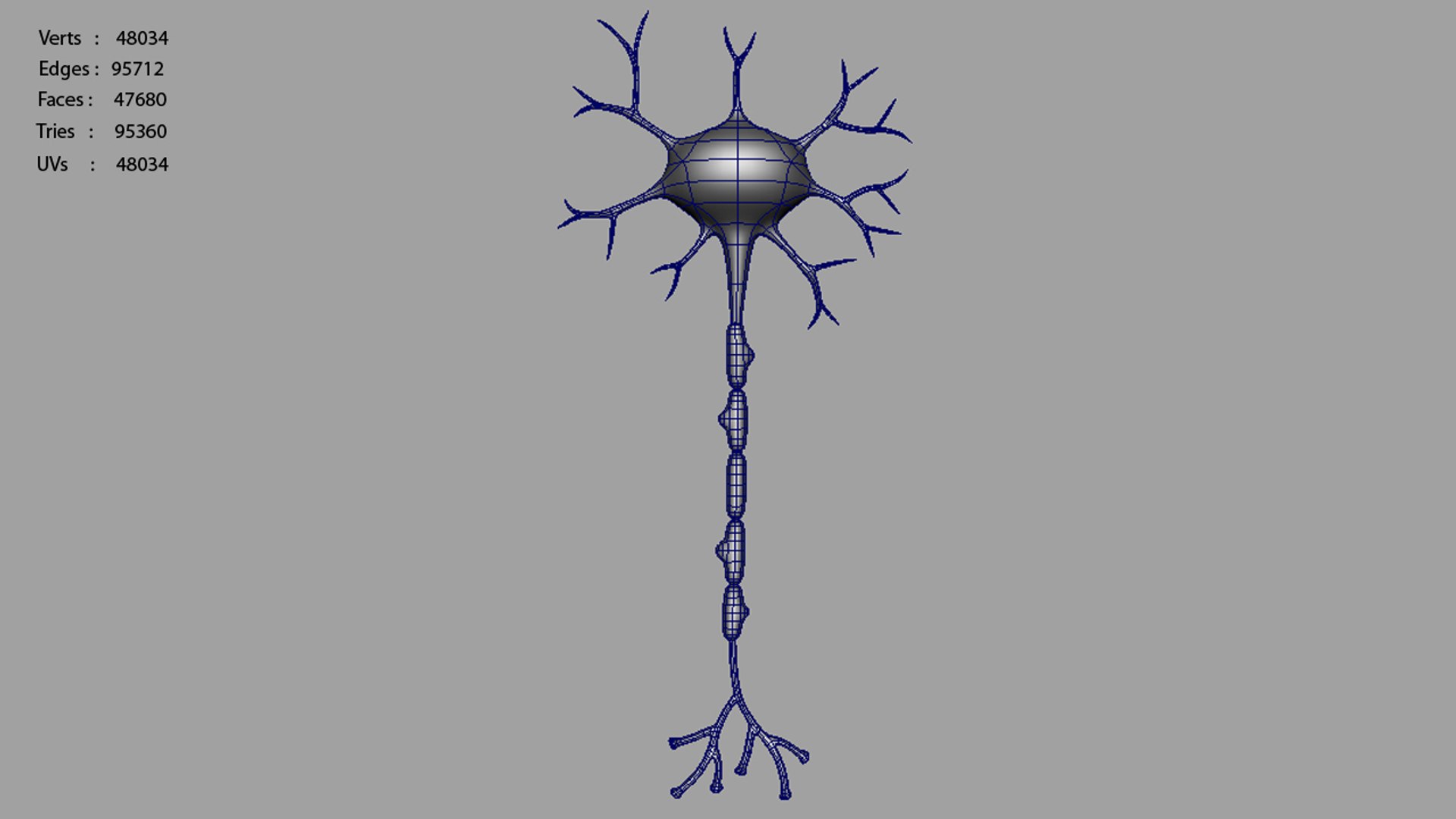 Neuron Cell 3d Obj