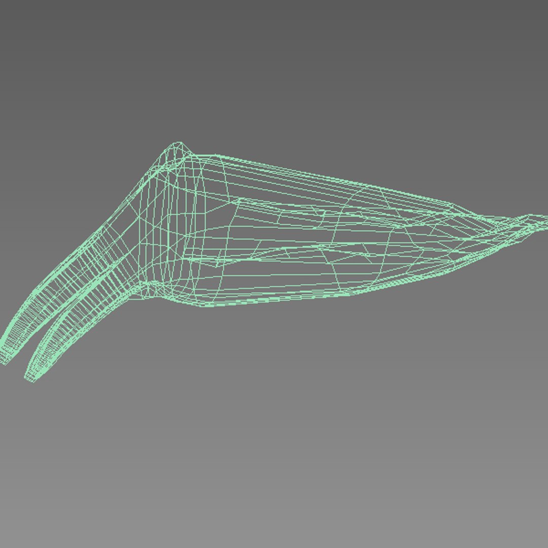 3d Cuttlefish Fish
