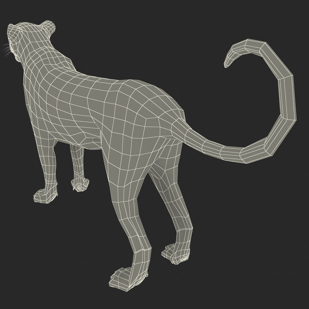 Cheetah 2 Fur 3d Max