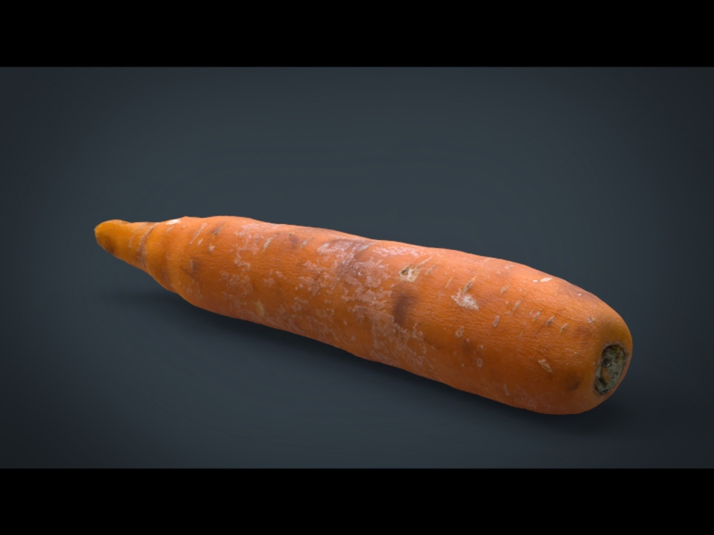 3d model of carrot