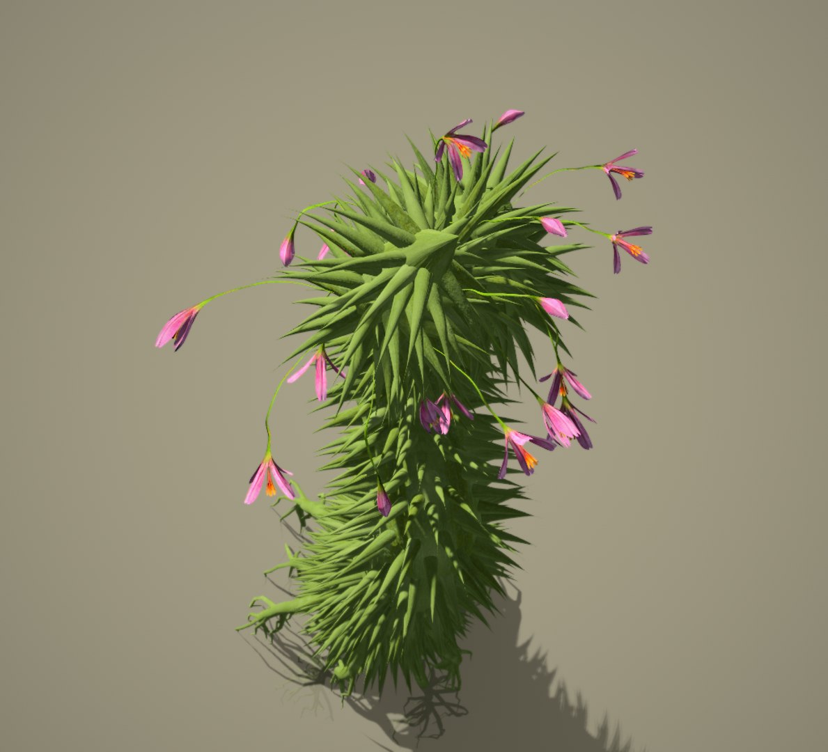 Thorn Model - TurboSquid 1535227