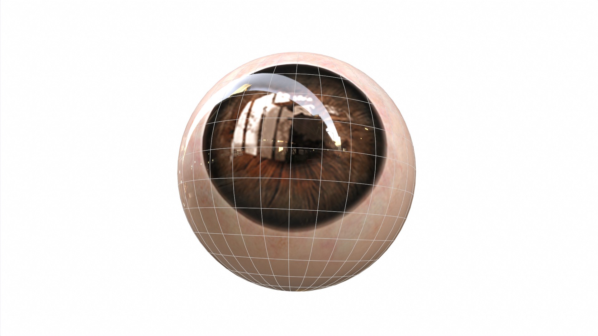 Human Eye Model - TurboSquid 1877251