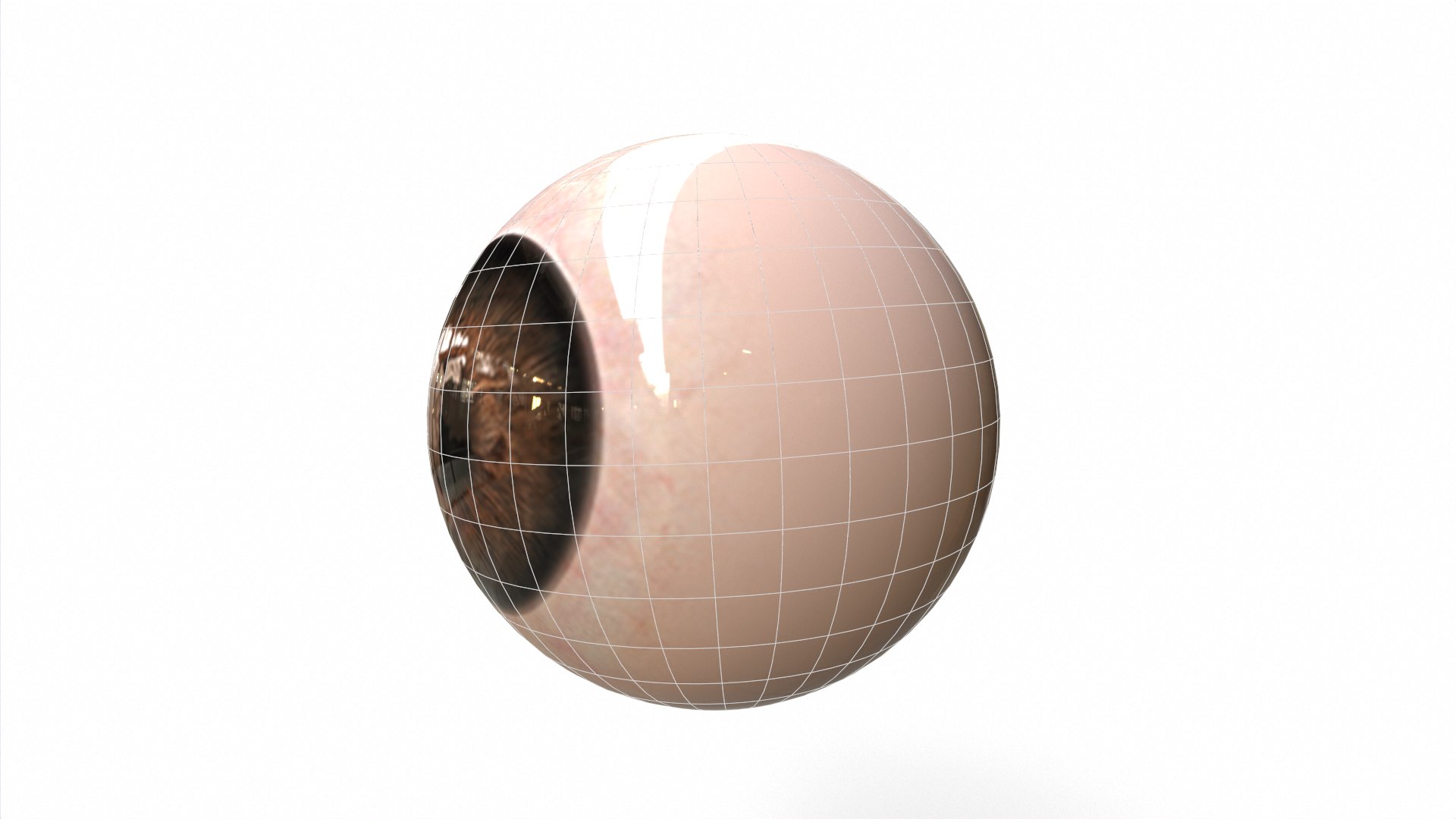 Human Eye Model - TurboSquid 1877251