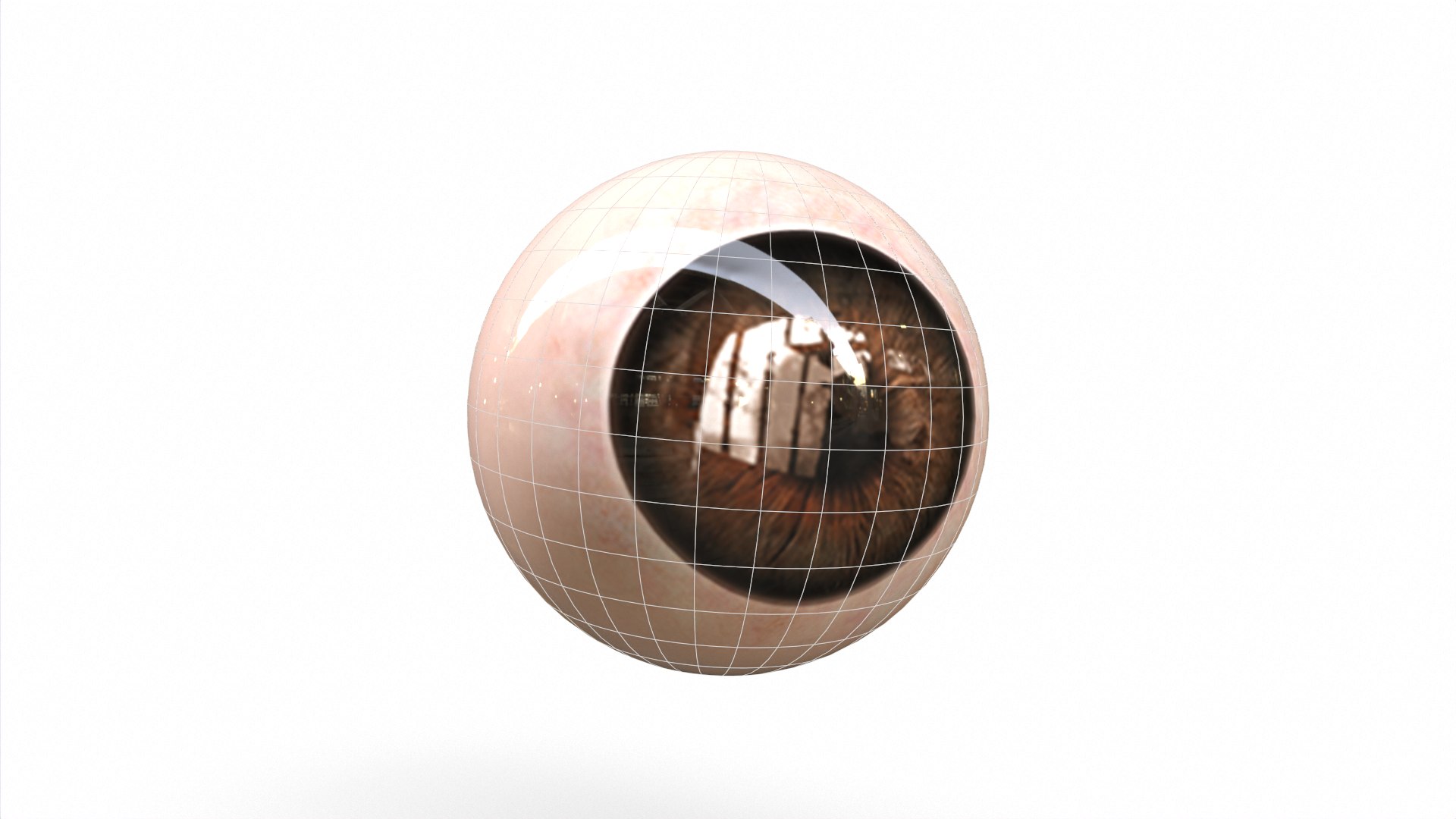 Human Eye Model - TurboSquid 1877251