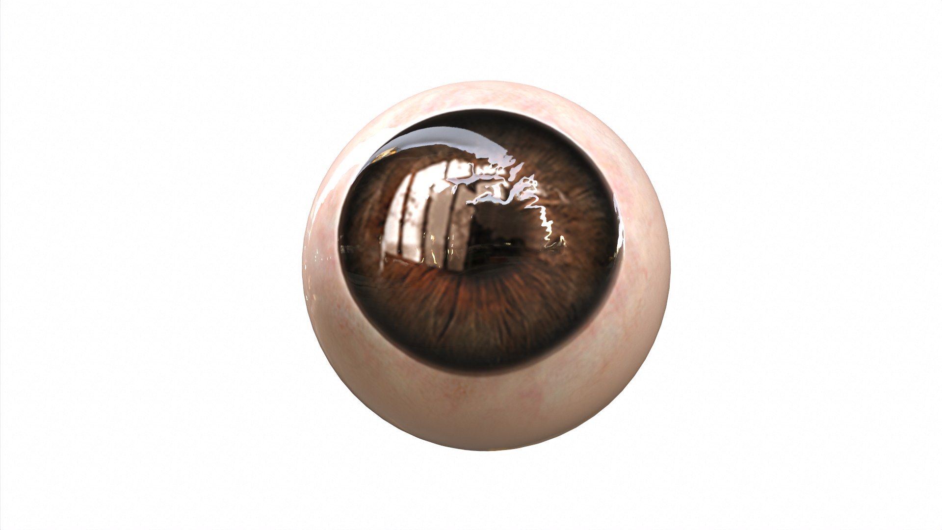 Human Eye Model - TurboSquid 1877251