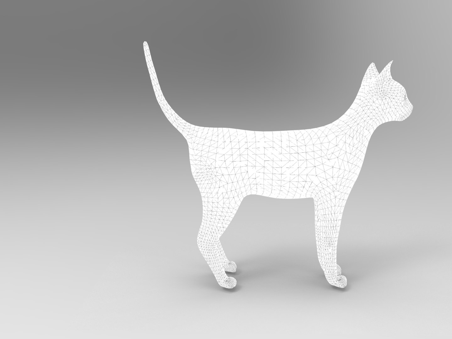 cat rigged 3d model