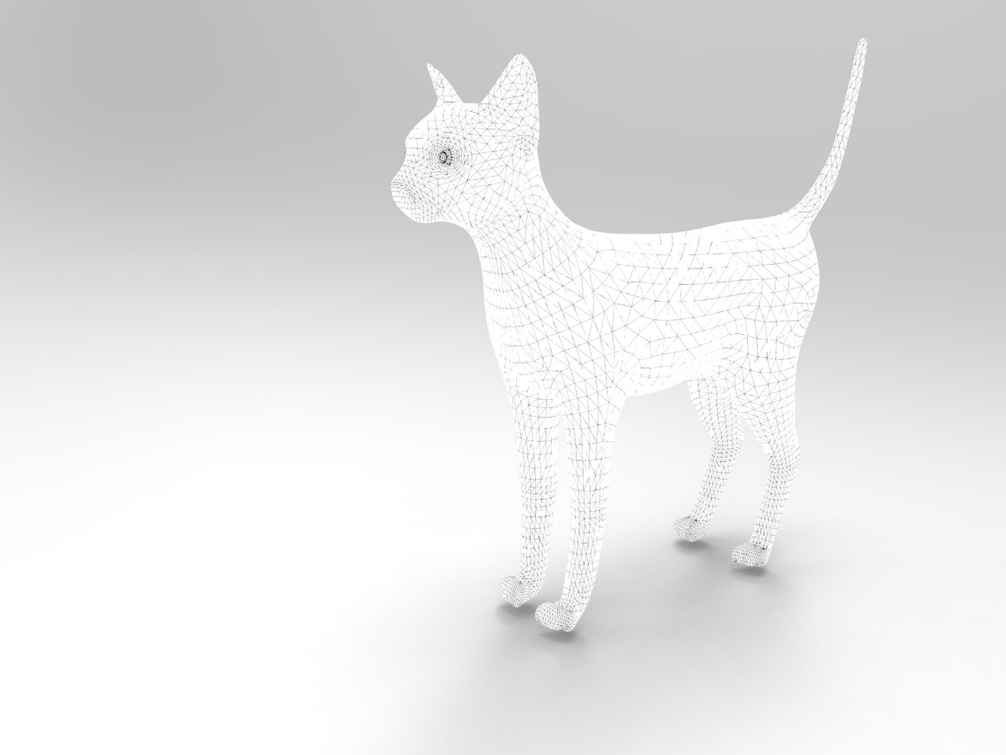 cat rigged 3d model