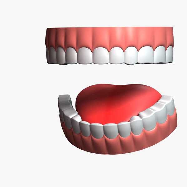 Cartoon teeth model - TurboSquid 1520889