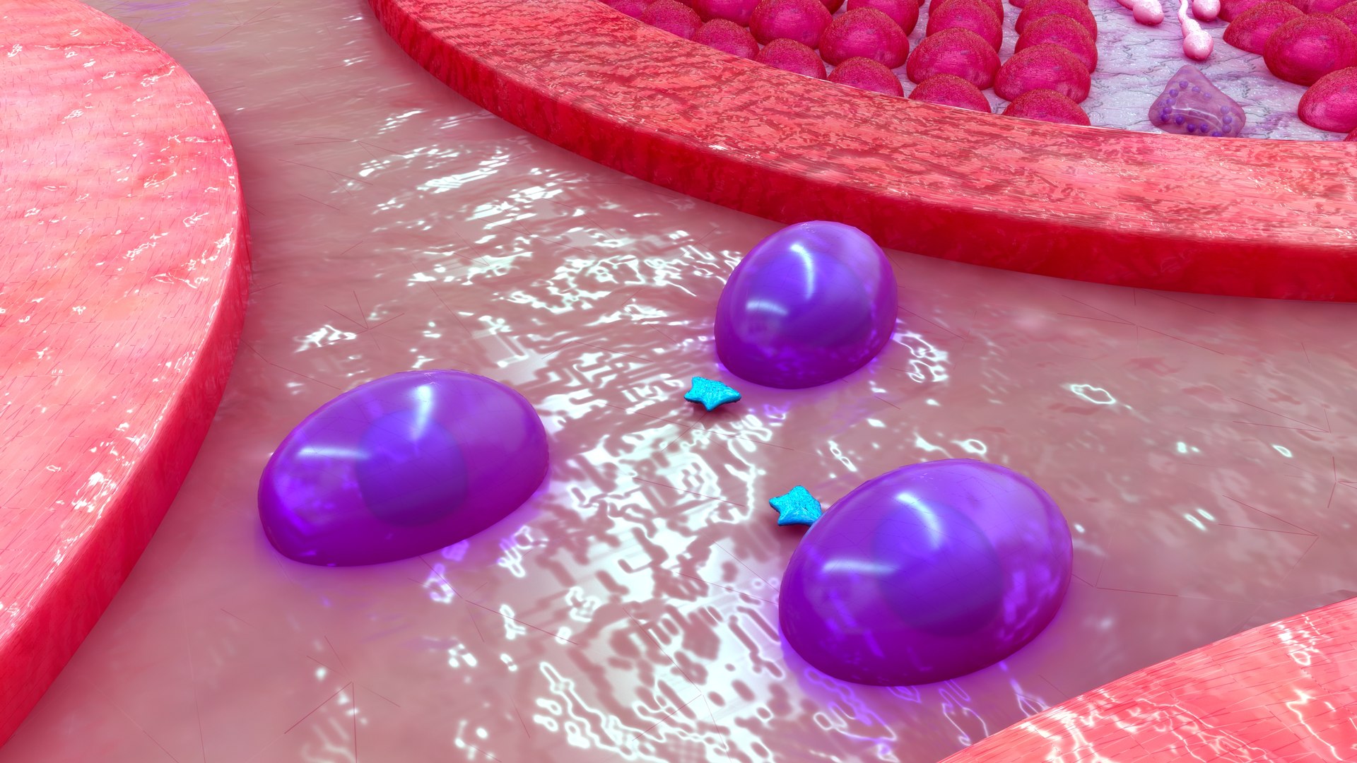 3D Leydig Cells Testicular Interstitial Cells - TurboSquid 2192420