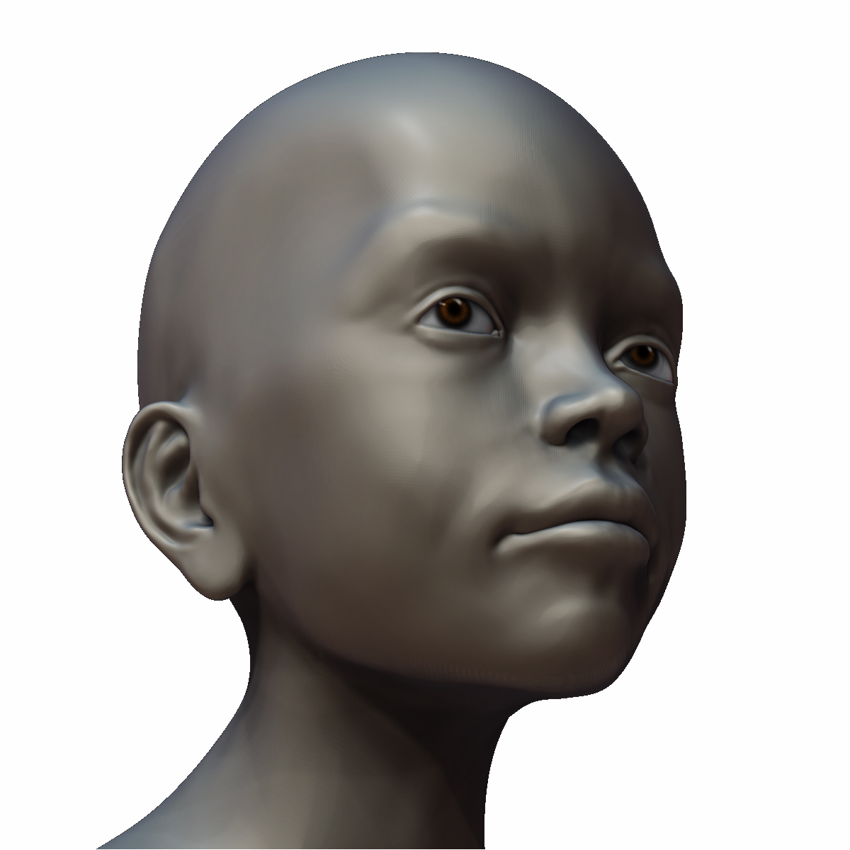 free young boy head 3d model