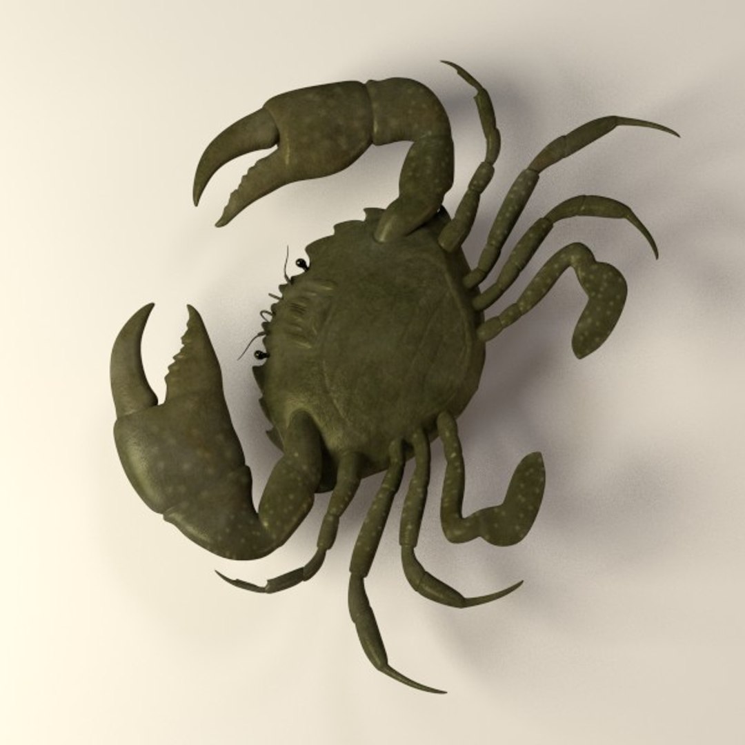 3d crabs model