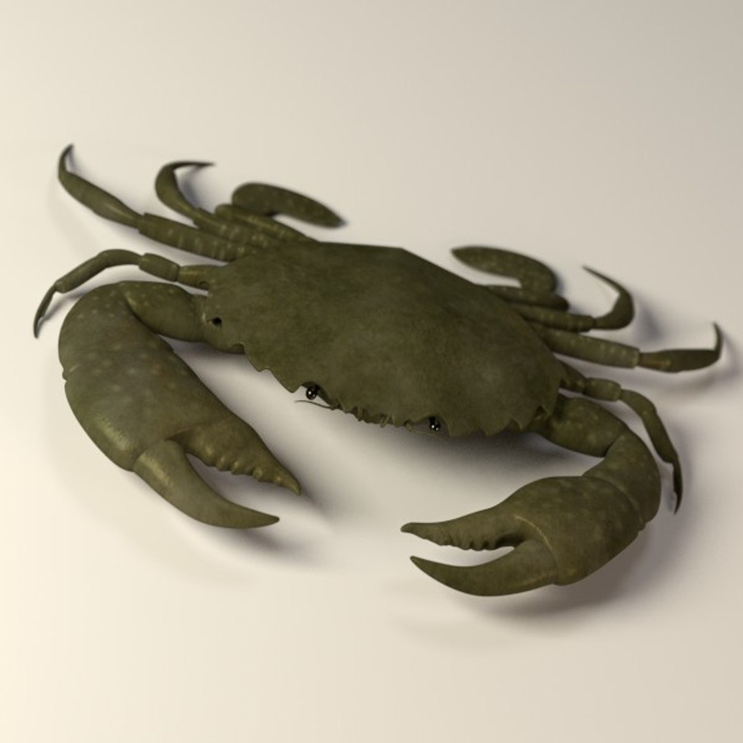 3d crabs model