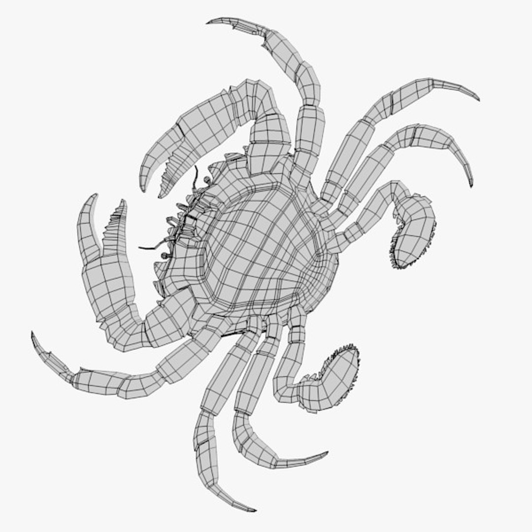 3d crabs model