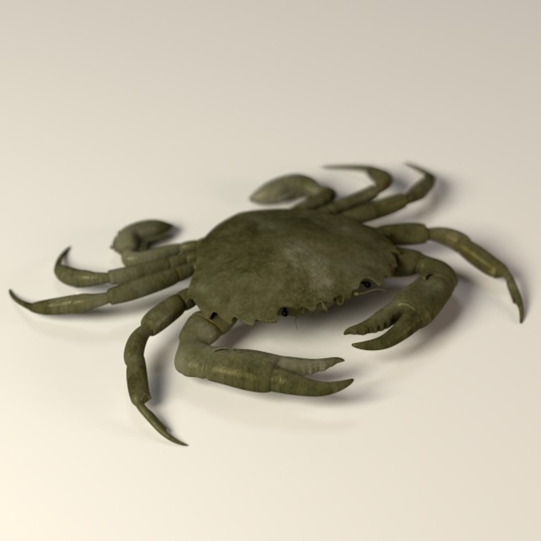 3d crabs model
